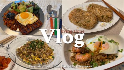 자취 브이로그 볶음밥 만들기 1 스팸 김치 볶음밥 🧇와플 참치 🥚계란 볶음밥 🍤새우 나시고랭 볶음밥 깍두기 🥓삼겹살 볶음밥 데리야끼 🍗닭가슴살 볶음밥