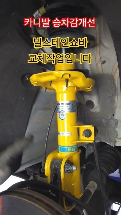 카니발 빌스테인쇼바 빌스테인쇼바 쇼바 Bilstein 카니발 Youtube