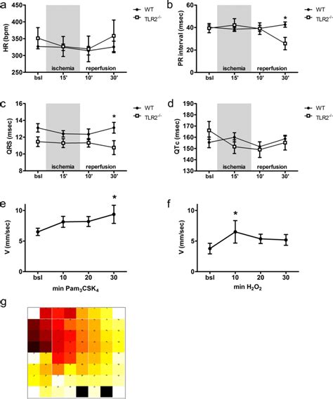 In Vivoin Vitro Electrophysiology A Standard Pacing Protocol Was Download Scientific Diagram