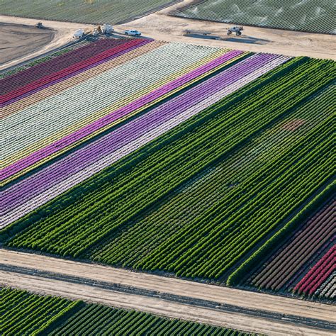 Project 91 Patterns In Agriculture Behance