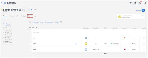 Project Scope Export Mosaic