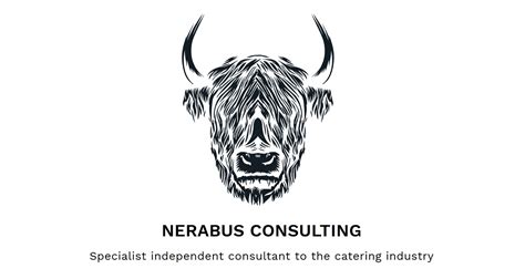 Nerabus Consulting Web Design — Nysnö Web Design And Social Media