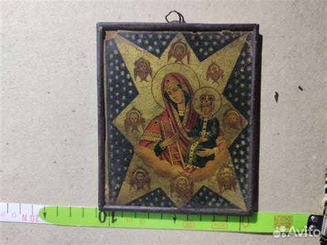 Неопалимая купина купить в Москве Хобби и отдых Авито