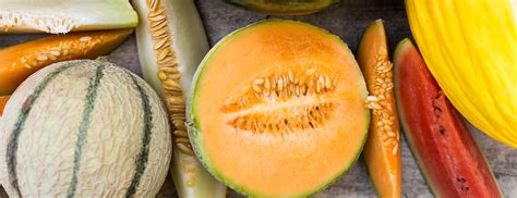Melon Varieties