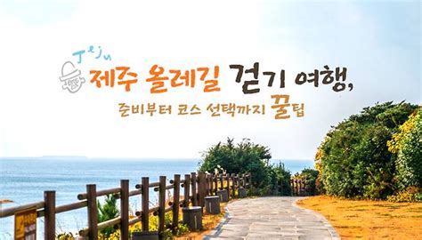 제주 올레길 걷기 여행 준비부터 코스 선택까지 꿀팁