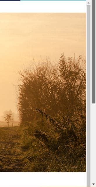 How To Remove Double Scroll Bar Support Themeco Forum