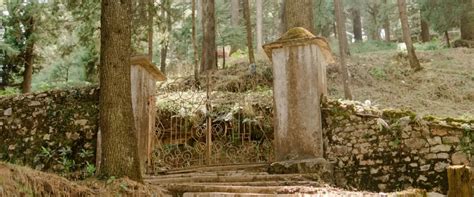 10 Haunted Places In Uttarakhand From Lambi Dahar Binsar Bagori And More