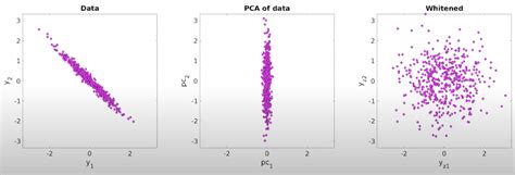 Chau Pham Concept Whitening For Explainable AI In Computer Vision