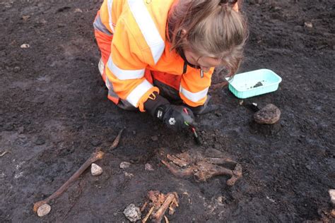 Archaeologists In Denmark Have Unearthed A 5000 Year Old ‘bog Body A