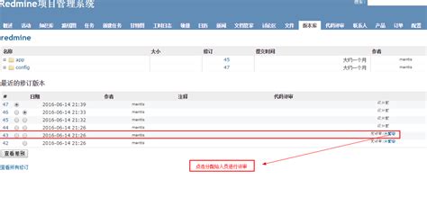 Redmine增强版代码审查工具 Redmine中文 增强版