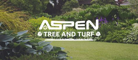 Four Seasons Tree Care Should I Fertilize My Trees Fertilization Is