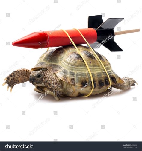 Turtle Rocket Bizarre Stock Photo Edit Now 274588028