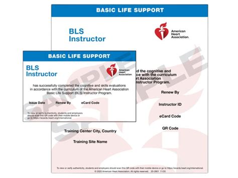 AHA BLS Certification | Bayside CPR