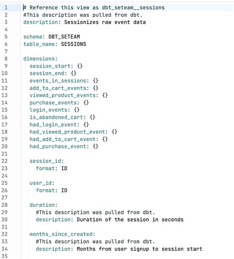 Dbt Omni Analytics Documentation