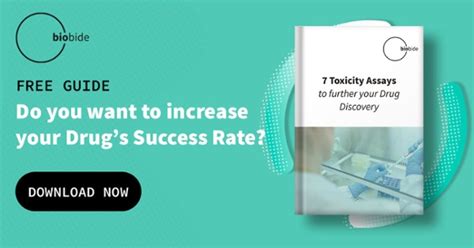 What Is Batch Testing