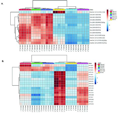 Cluster Correlations Of A Sphingolipids Including Ceramides Cer And