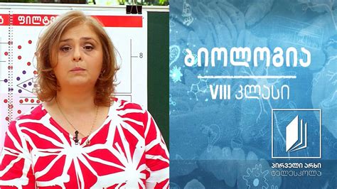 ბიოლოგია Viii კლასი სისხლის შემადგენელი კომპონენტების აგებულება და ფუნქციები ტელესკოლა 1tv