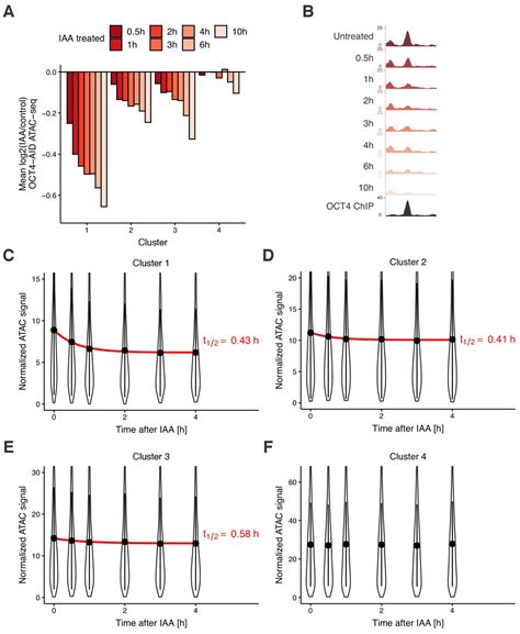 Dynamic Regulation Of Chromatin Accessibility By Pluripotency Transcription Factors Across The