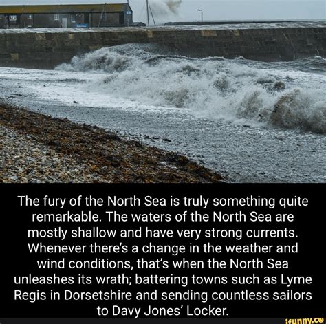 Oceanography Memes Best Collection Of Funny Oceanography Pictures On