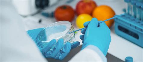 Ika Dna Preparation For Clostridium Botulinum And Botulinum Toxin Tests In Foods