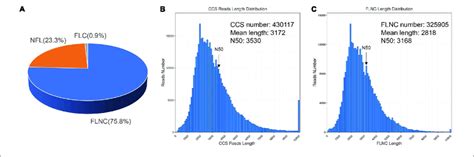 Summary Of Pacbio Smrt Sequencing A The Classification Of Circular Download Scientific