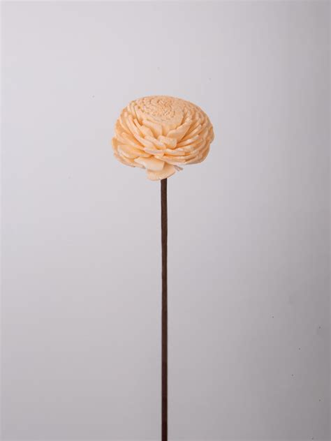 Пшениця вибілена біла купити в Україні за низькою ціною • Dfb Elements