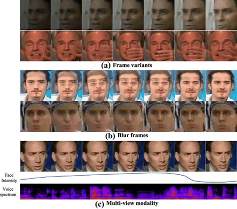 The Challenges Of Video Based Kinship Verification Download