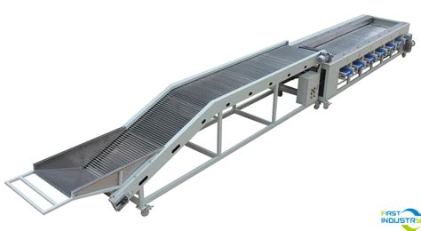 Cucumber Grading Machine