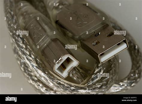 Closeup Of A USB Cable Stock Photo Alamy