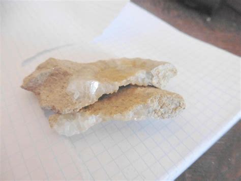 Identification Fossile N°3 Ammonite