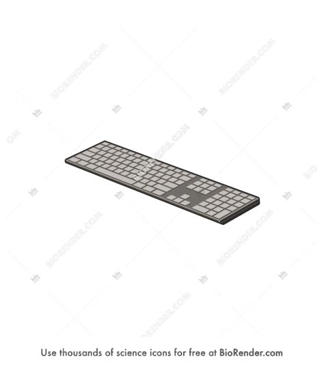 Free Keyboard Wireless Icons Symbols And Images Biorender