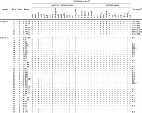 Resistance And Virulence Genotype Of Enterococcal Isolates From Broiler