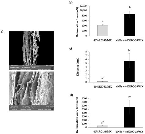 Sem Micrographs At Two Different Magnifications 100x At The Top And Download Scientific