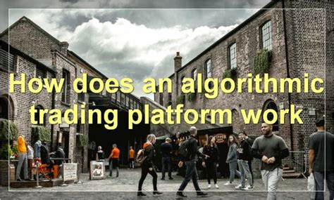 Algorithmic Trading Platforms Everything You Need To Know