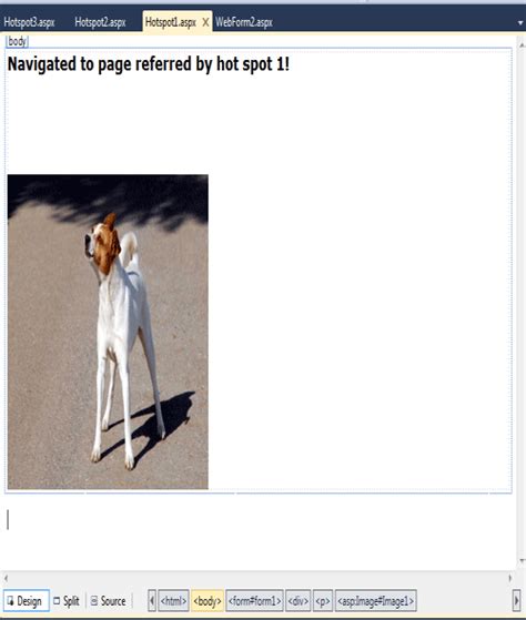 ImageMap Control In ASP NET