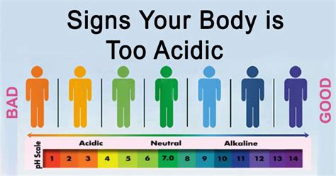 Why our Body needs to be Alkaline.