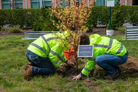 Stony Brook University Community Conducts A Week Of Service” March 27 March 31 Sbu News