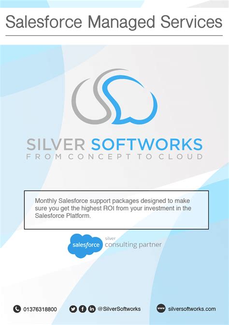 Salesforce Support Managed Services Silver Softworks