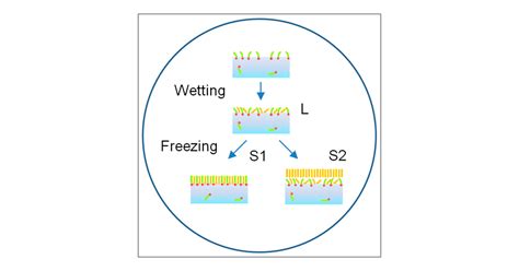 Unique Interfacial Phenomena On Macroscopic And Colloidal Scales Induced By Two Dimensional