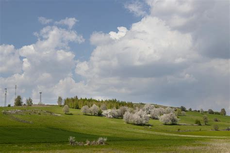 경치 경치 좋은 전망 계절 고요한 구름 구름 낀 하늘 국가 그림 같은 깨끗한 공기 꽃 꽃이 만발한 나무 꽃이 피는 나무 날씨 낮 녹색 언덕들
