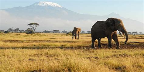 Amboseli Map Detailed Map Of Amboseli National Park