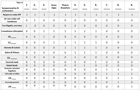 1 What Taxonomic Group Do You Expect At 5a Phylum