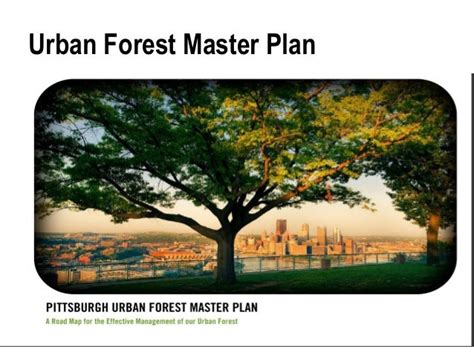 Urban Forest Management Plan