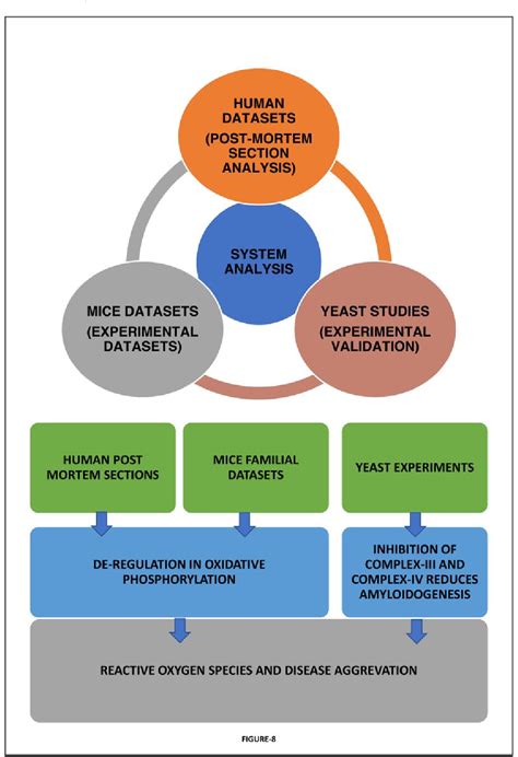 Figure 1 From Integrated Multi Omic Data Analysis And Validation With