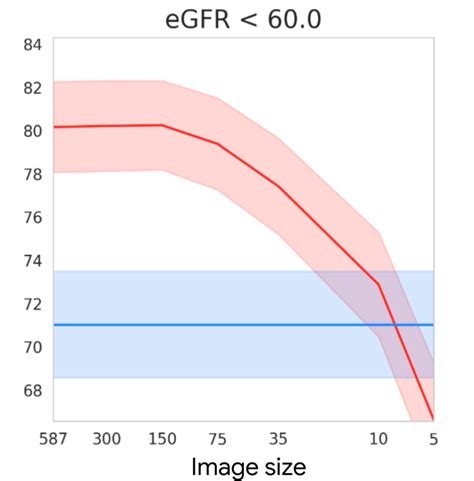 Detecting Novel Systemic Biomarkers In External Eye Photos