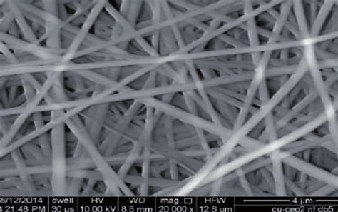 Scanning Electron Micrograph Of Composite Nanofibers Synthesized From
