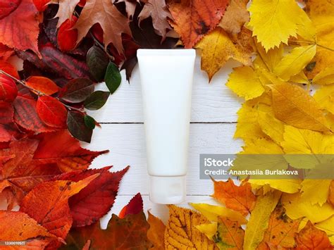흰색 스퀴즈 병 화장품 튜브와 밝은 가을 또는 가을 잎의 둥근 프레임 흰색 나무 테이블에 천연 유기농 스파 화장품 컨셉 플랫레이 탑 뷰 모형 템플릿 0명에 대한 스톡 사진
