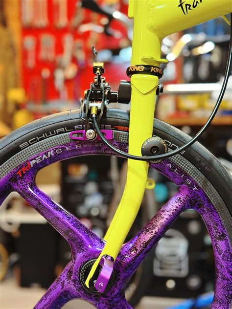 colorplus the most popular long term best seller 【bs03 birdy