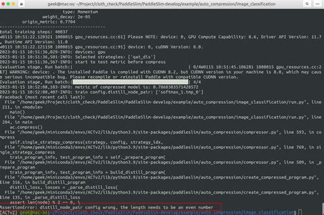 AssertionError Distill Node Pair Config Wrong The Length Needs To Be An Even Number Issue