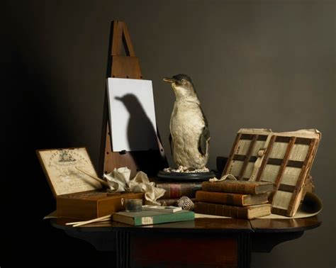 Robyn Stacey Head On Photo Festival